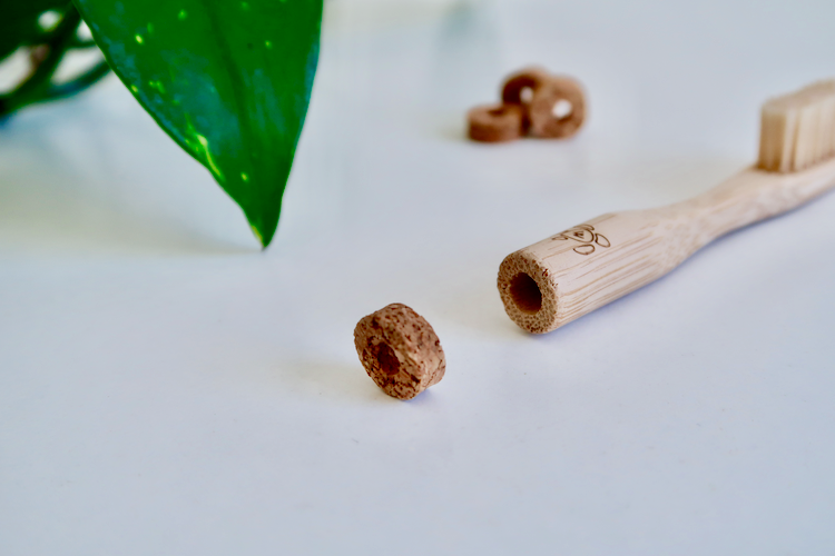 3-Pack Refill: Evermore Toothbrush – WiseSip